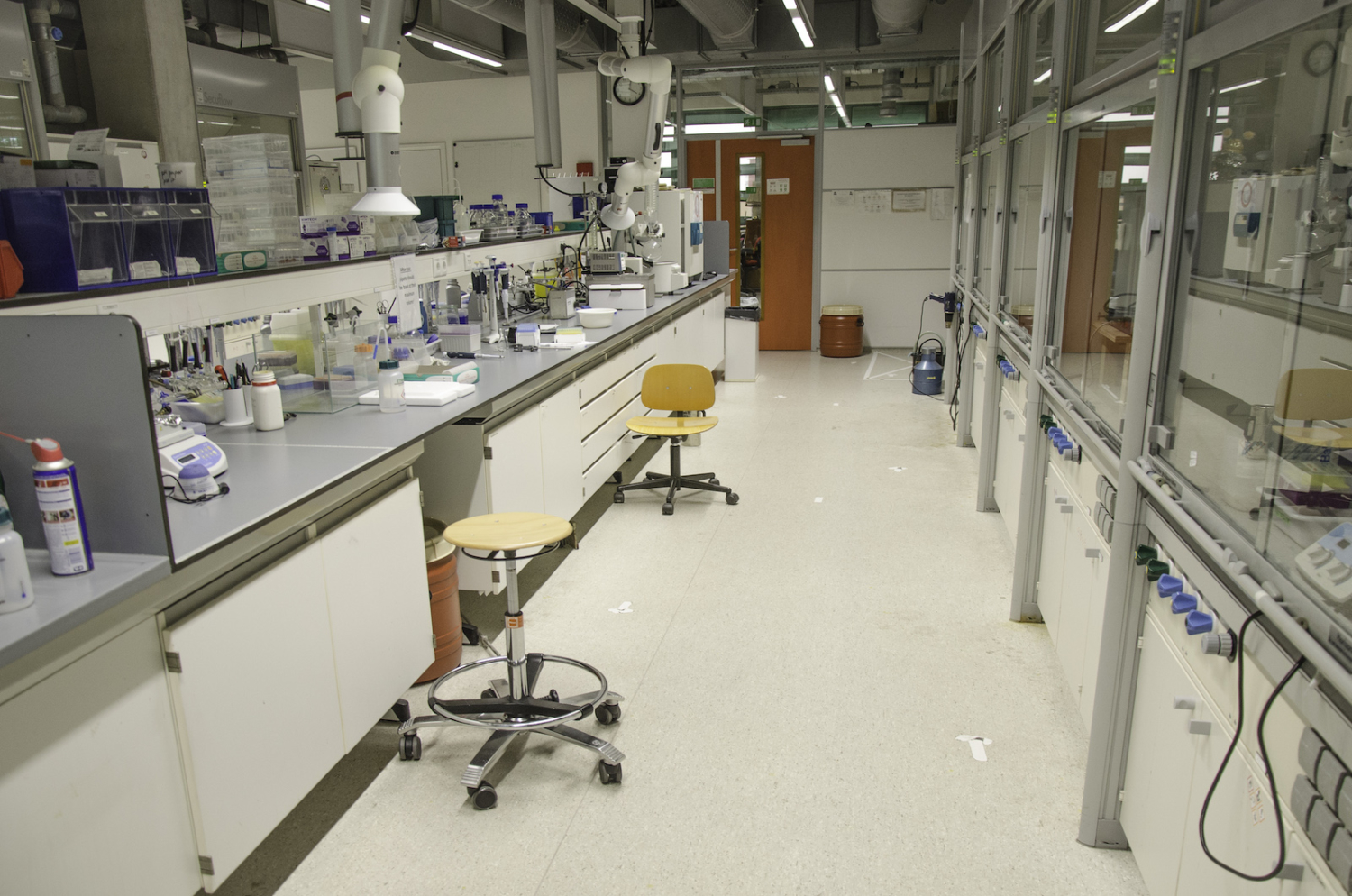 Labs - The Huck Group