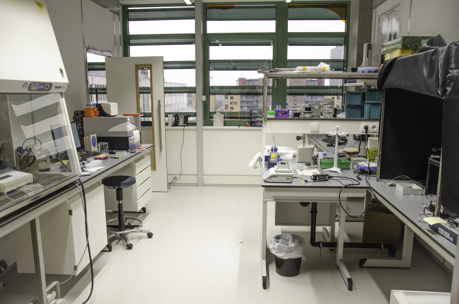 Labs - The Huck Group