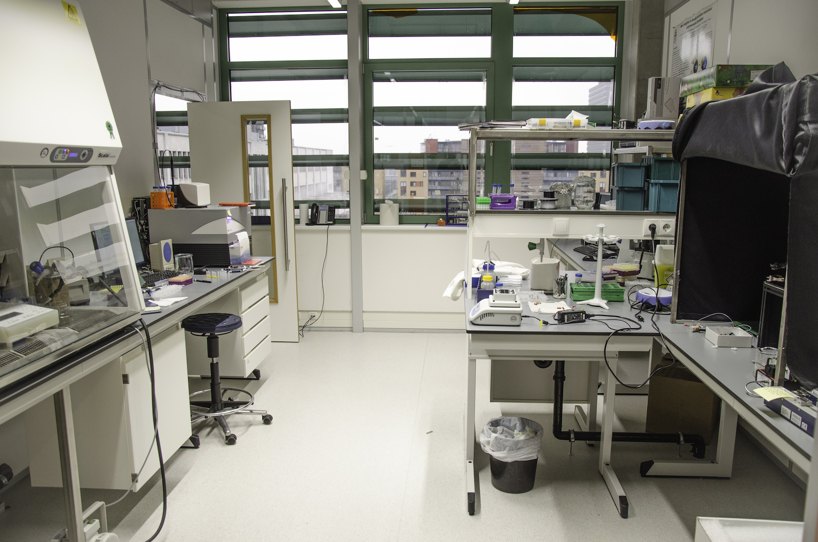 Labs - The Huck Group