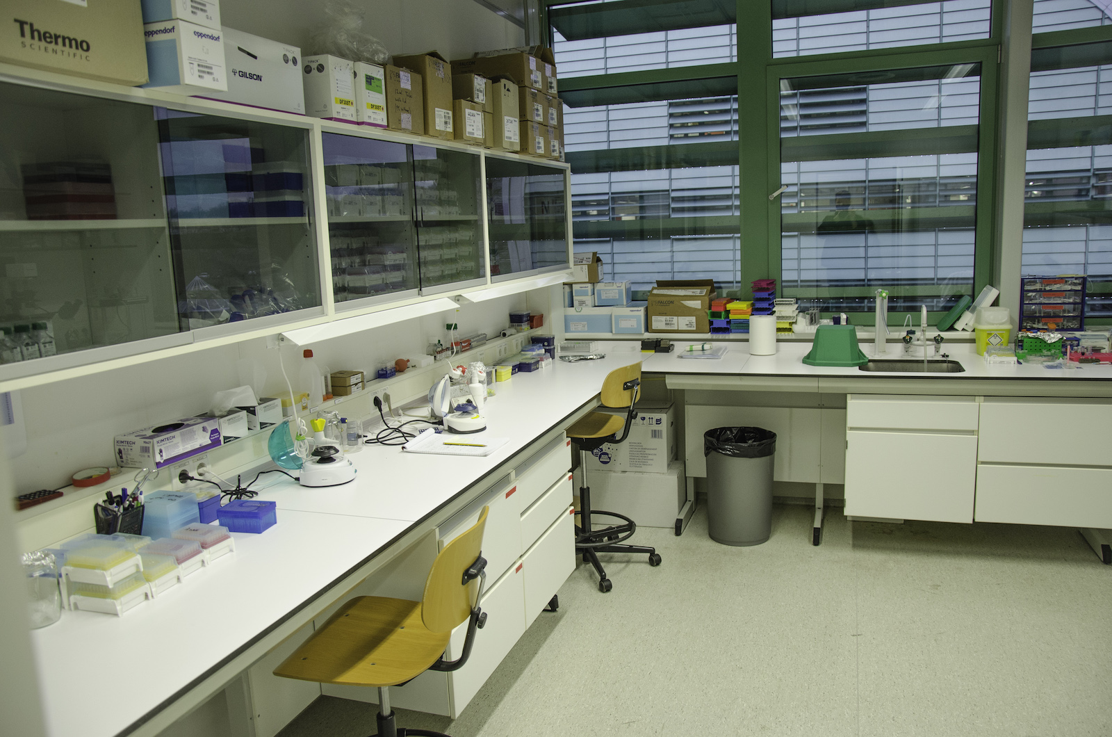 Labs - The Huck Group